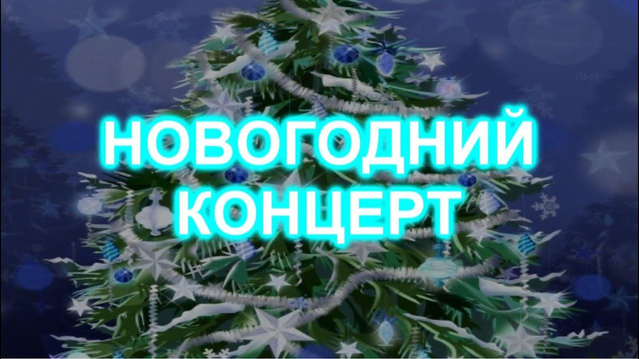 Новогодний концерт в сш №15  Дружба народов  21 12 2013