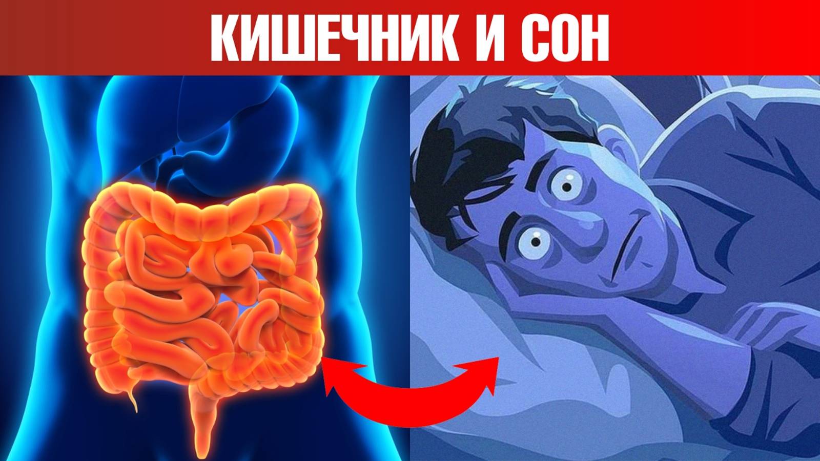 Если у вас бессонница, то точно есть проблемы с кишечником😲