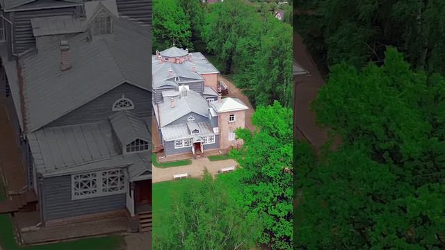 Дача поэта #shorts #Тютчев #стихи #mavicmini