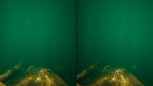 3D VR VIDEO 550 4K vr video_1080pFHR