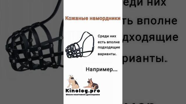 Как выбрать правильный намордник для собаки