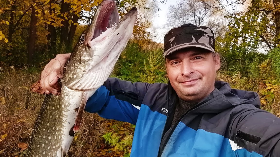 ОСЕННЯЯ ЩУКА РВЁТ ЖИВЦА!!! РЫБАЛКА НА КРУЖКИ И СПИННИНГ на малой реке!