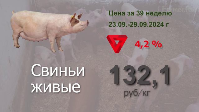 Что сейчас происходит на рынке мясной продукции? Цены за 39 неделю #мясо #аналитика #АПК
