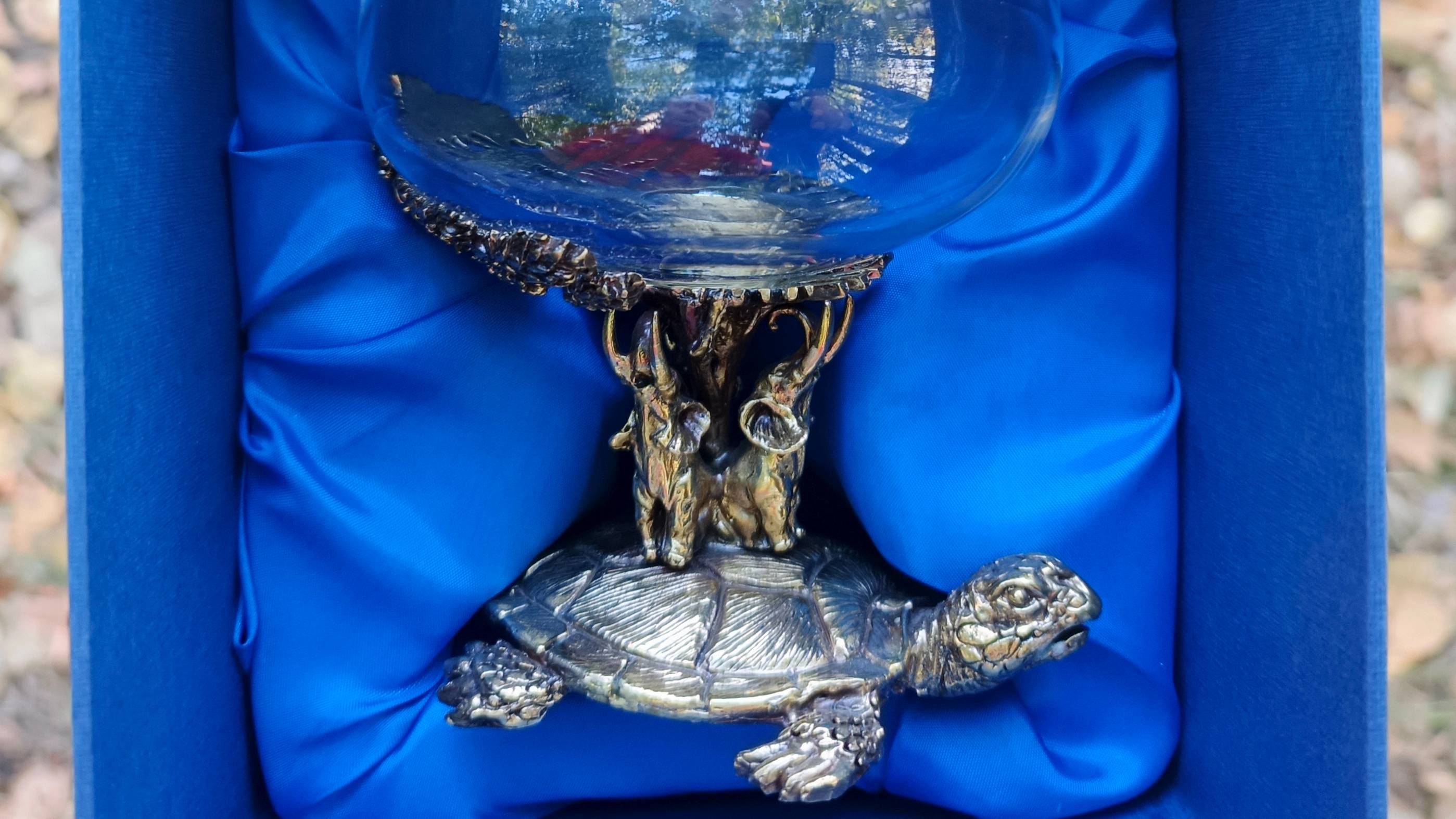 YouCut Бокал коньяк Асгард Fotor 1.1 осень, лес 30 сек