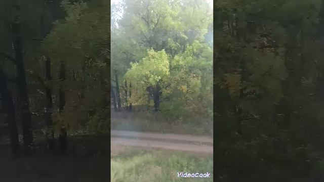 Мы едем на им. В. Грушина. (полная версия)