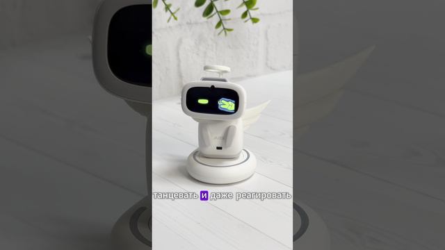 Это БУДУЩЕЕ домашних питомцев?