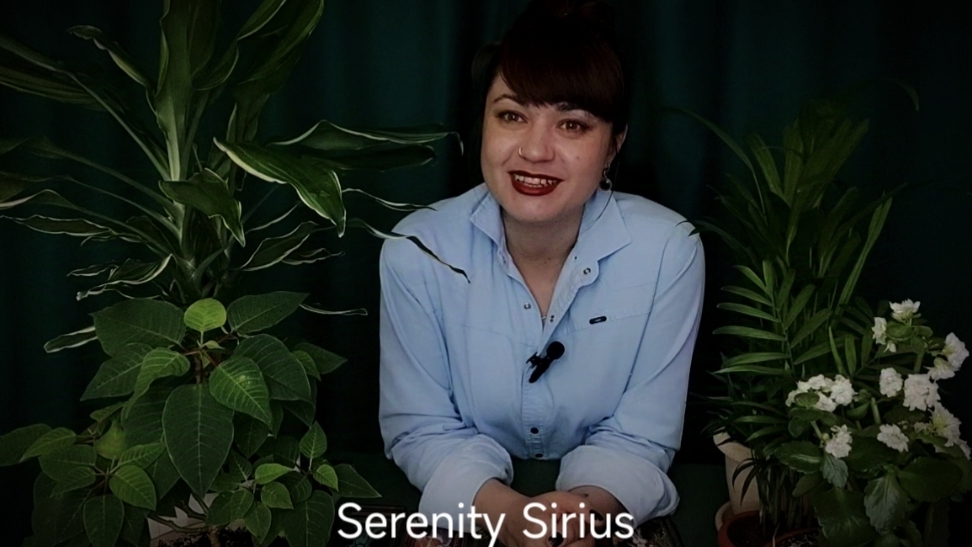 ОЖИВШАЯ СКАЗКА О ЛЮБВИ💞СОВЕТ ВЫСШИХ СИЛ🌈НАСТАВЛЕНИЕ ПРЕДКОВ🌞таро расклад на ближайшее будущее