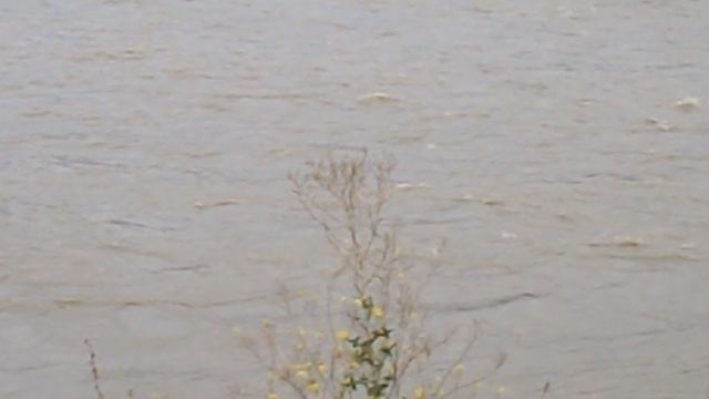 DSCN0848 Домбай форелевое озеро 2016