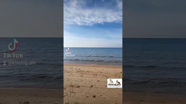 Главное правило дрессировки.