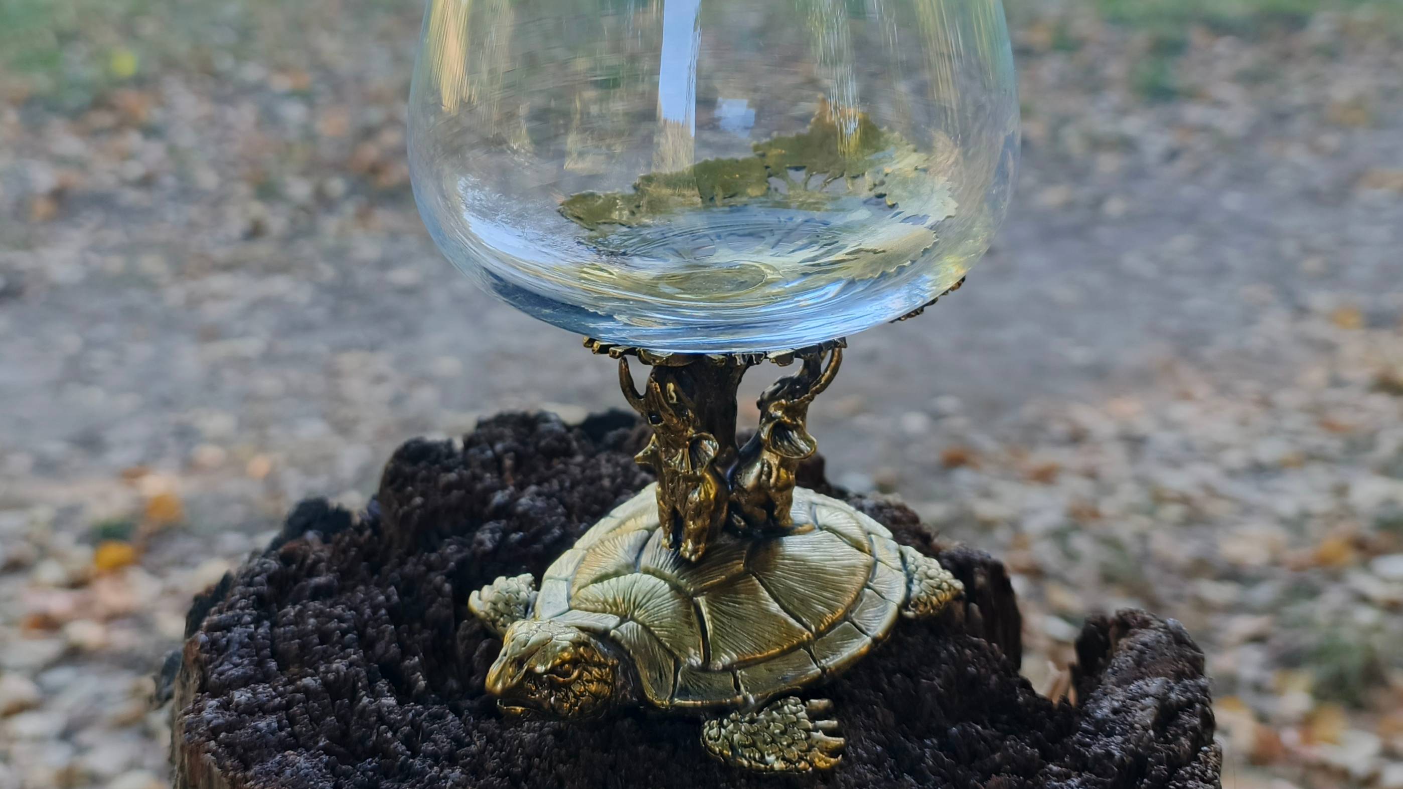 YouCut Бокал коньяк Асгард Fotor 1.1 осень, лес 1 мин