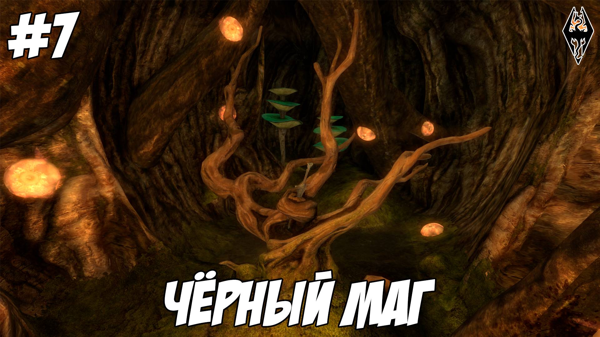 Чёрный маг - Skyrim SE с модами #7