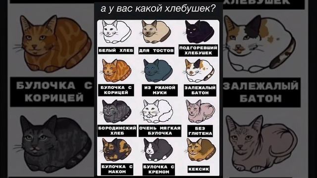 ПРИКОЛЫ, МЕМЫ #22