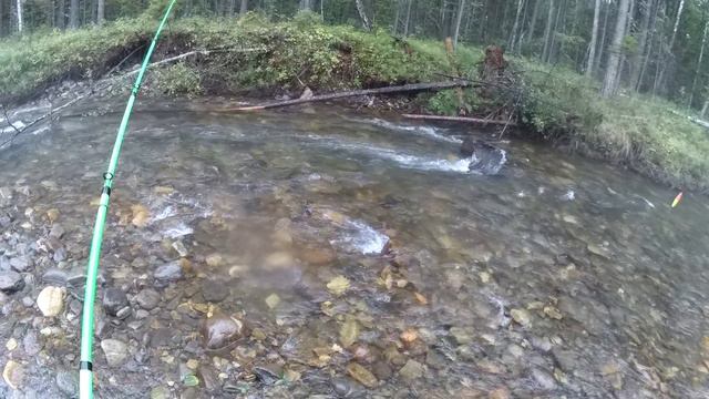 Рыбалка в Бурятии 14.08.2024. Фильм 1.