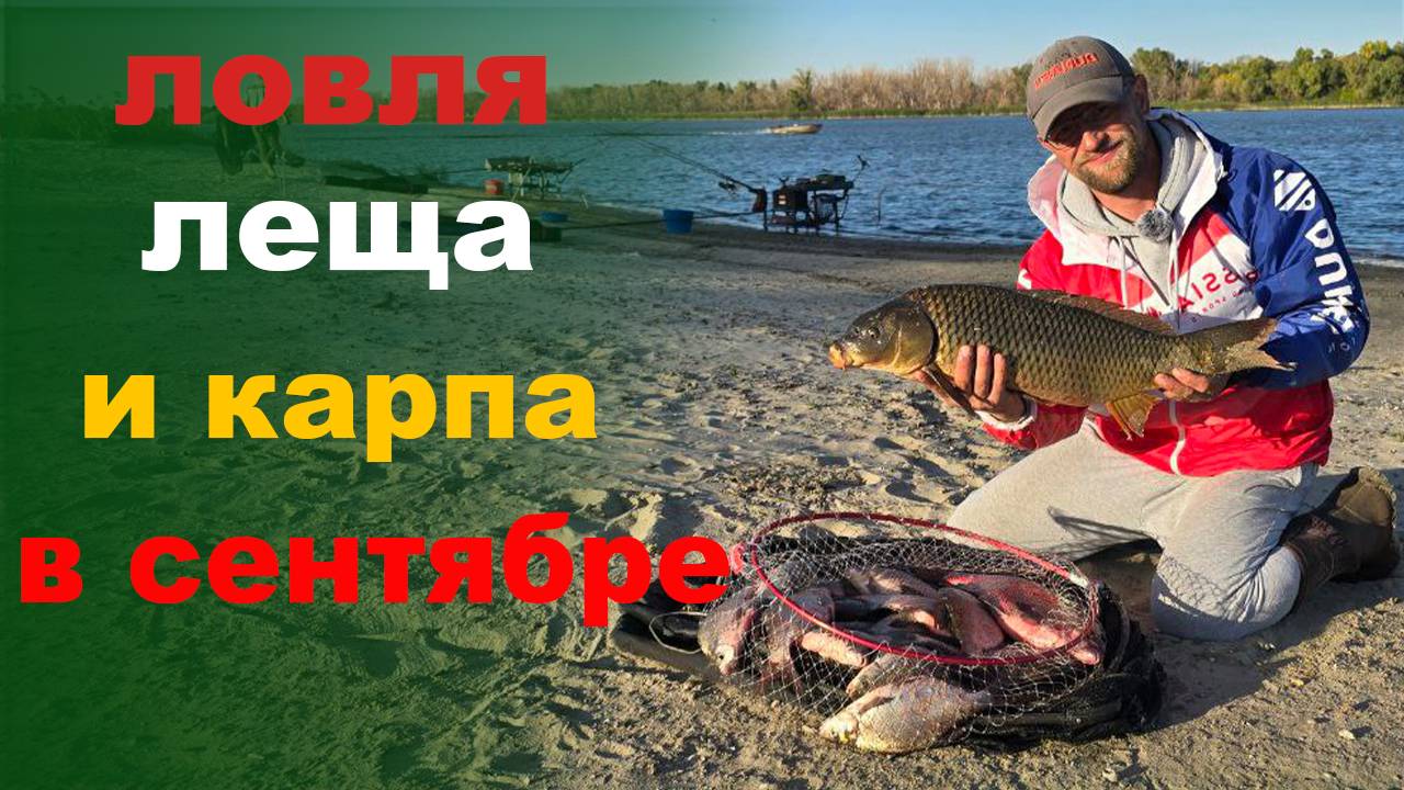 лещи на реке в сентябре