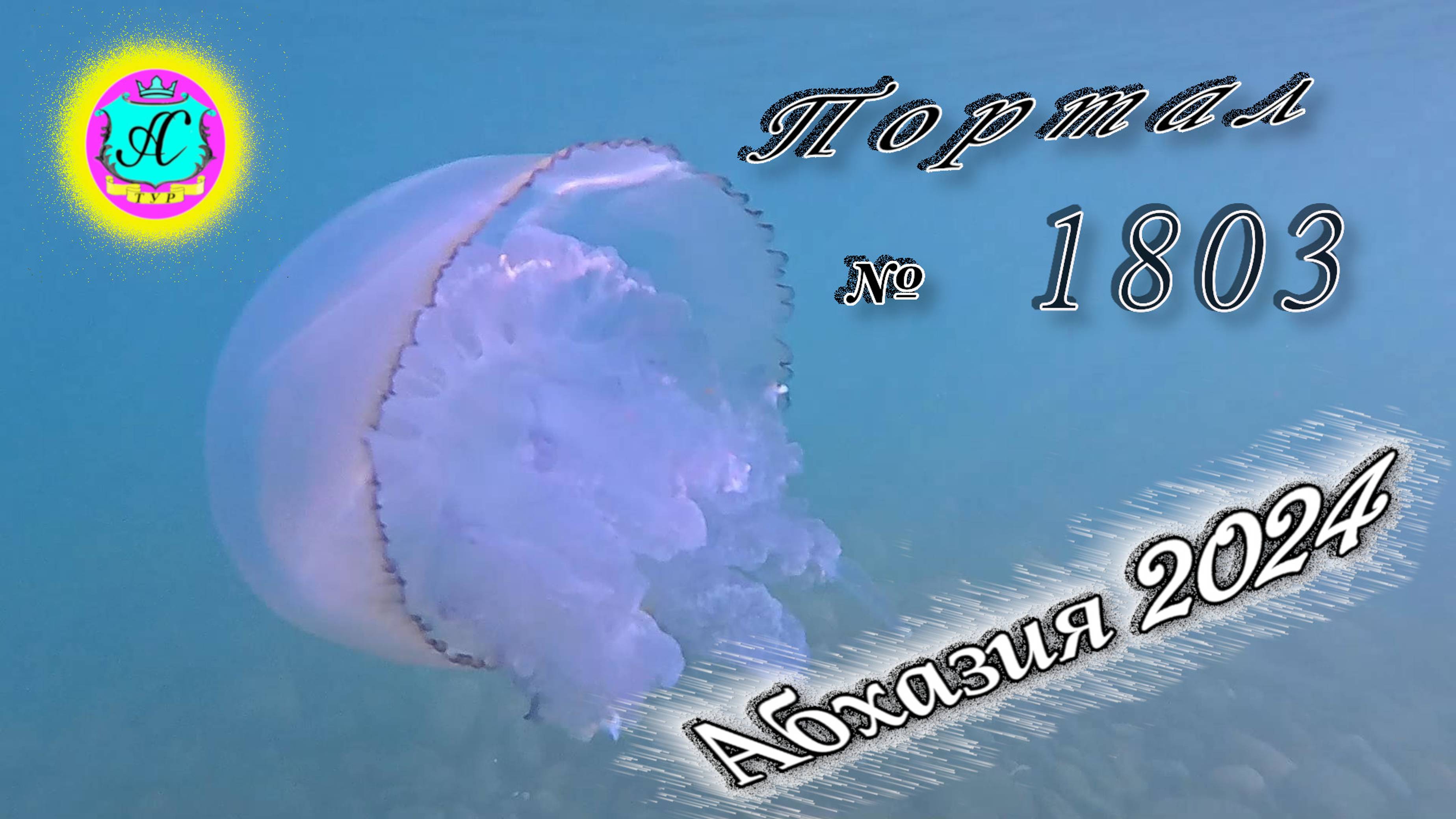 #Абхазия2024 🌴28 сентября. Выпуск №1803❗Погода от Серого Волка🌡вчера 30°, ночью +19°🐬море +24,6°