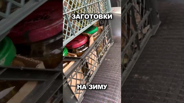 Заготовки на зиму  | Запасы для турбазы| Консервы для туристов