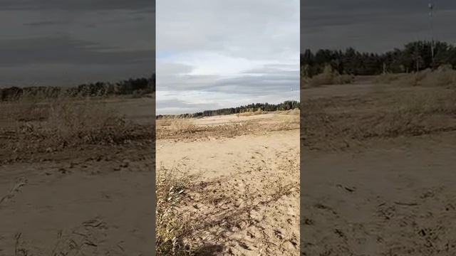 осень в тайге.mp4