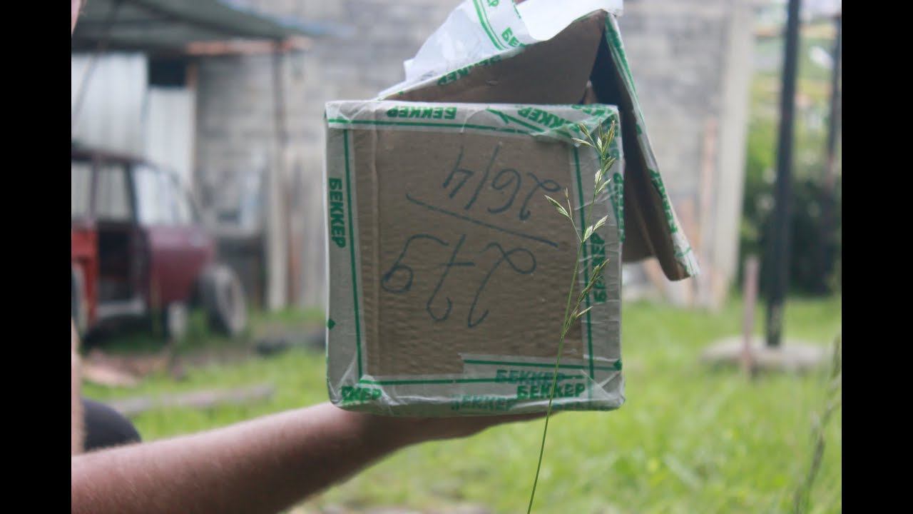 Шрек - Что-то зеленое и ржавое )