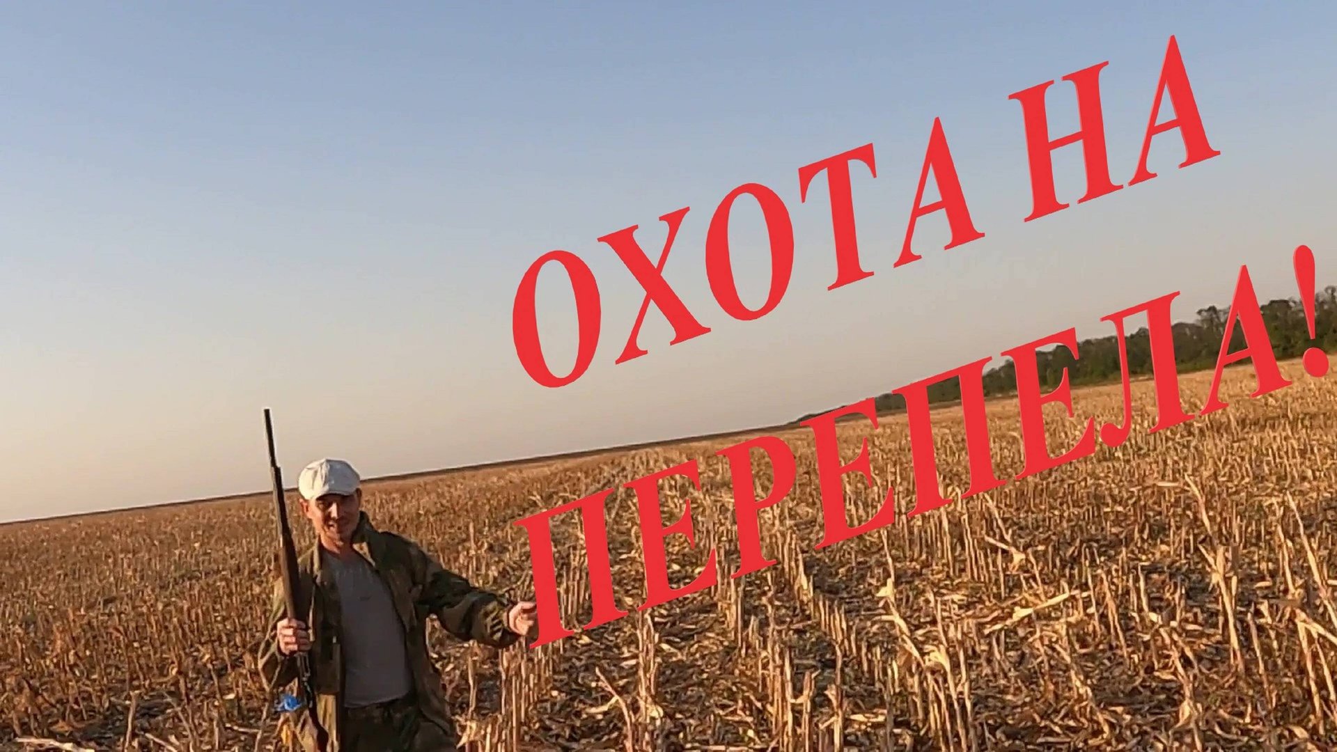 ОХОТА НА ПЕРЕПЕЛА...