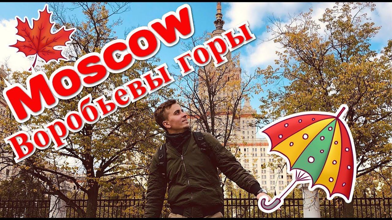 Moscow | Воробьевы горы. Осень