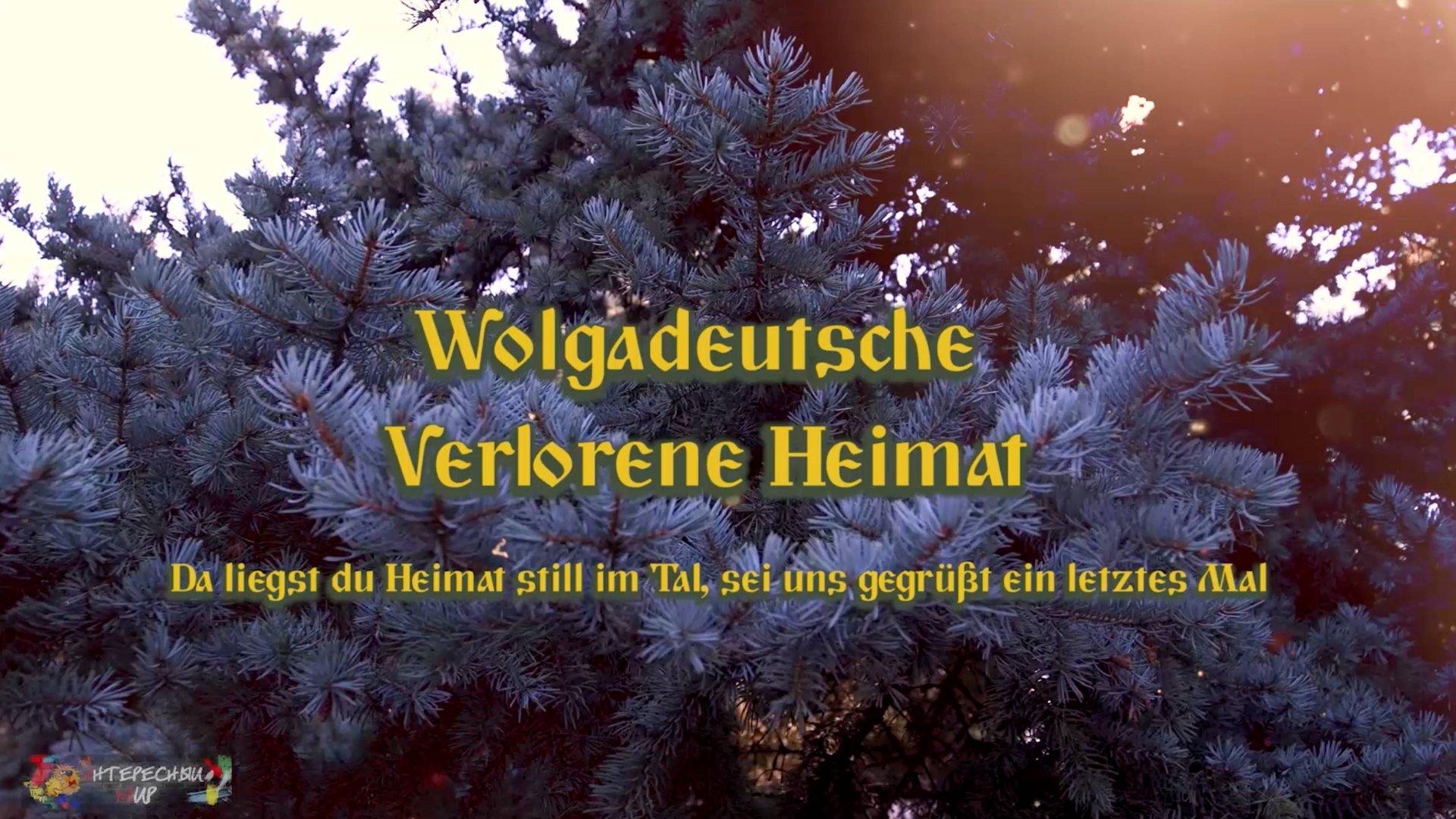 Wolgadeutsche. Verlorene Heimat...