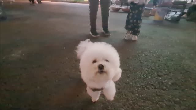 🅂🅄🄸🄵🄴🄽🄷🄴 🇨🇳 Особенности национального отдыха