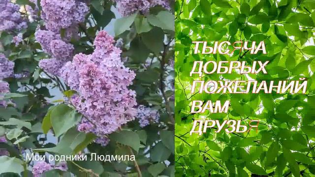 Звуки природы Смотрите видео полезное, информационное, развивающее.