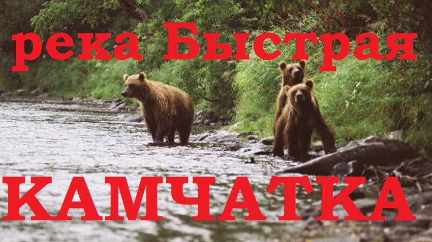 Камчатка 6 часть. Медведи. Рыбалка. Сплав по реке Быстрая 3 серия!