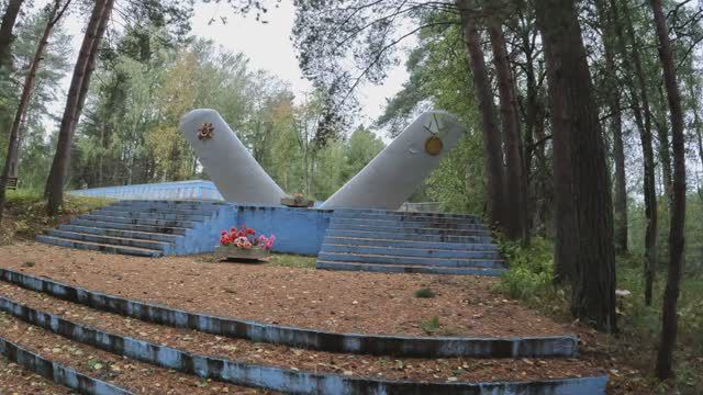 Лес Грибы Красные 2023 10 09