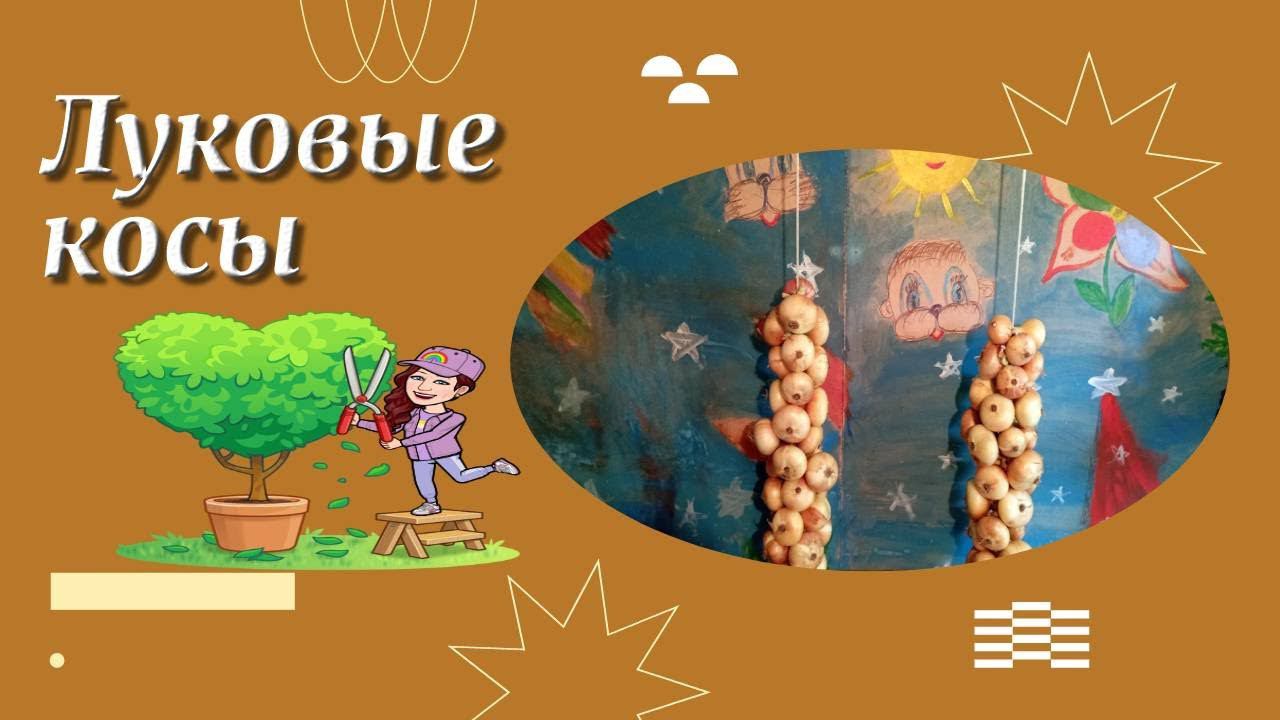 Луковые косы