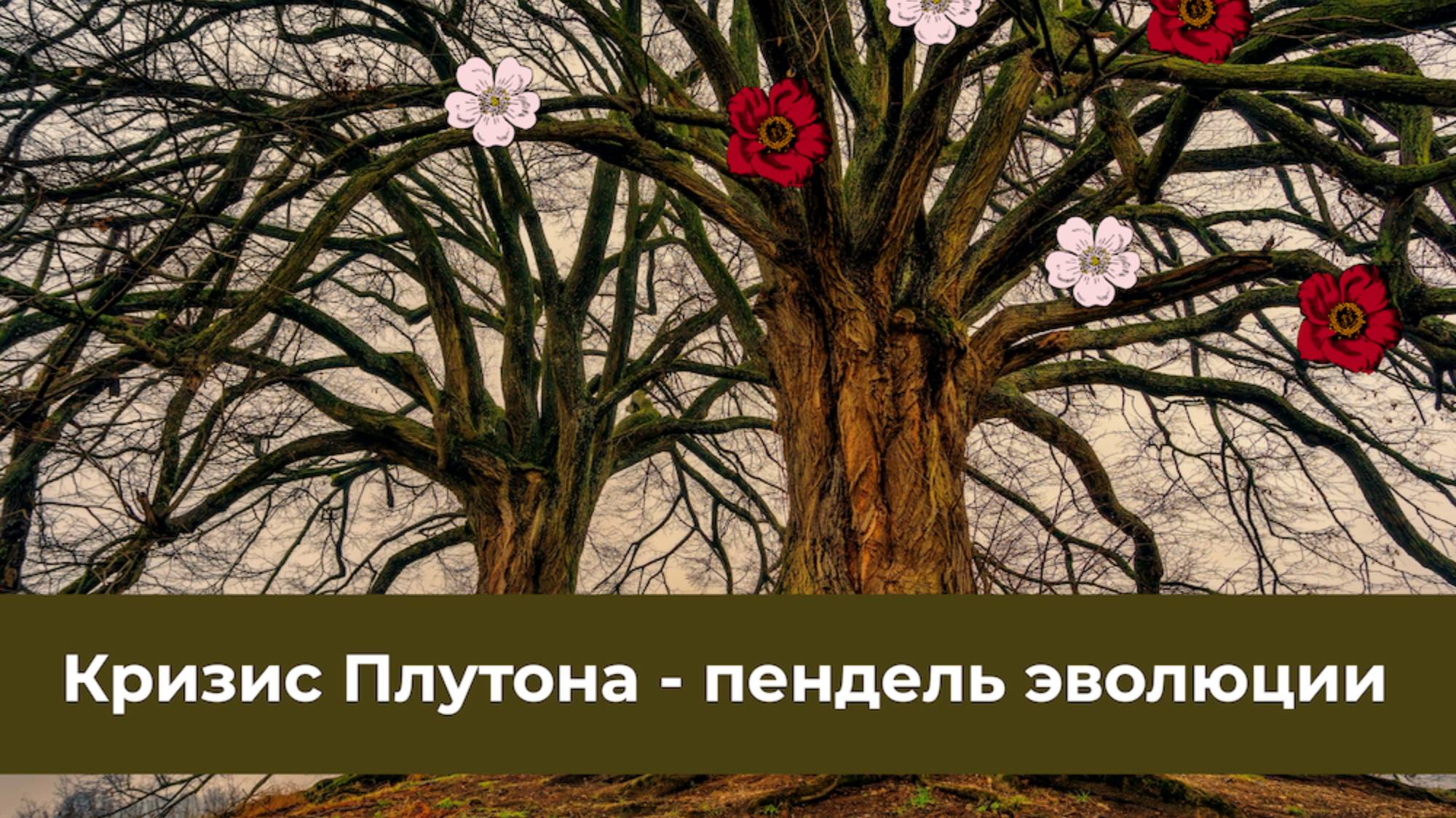 Кризис Плутона - пендель эволюции. Что хочет от нас квадрат транзитного Плутона к натальному?