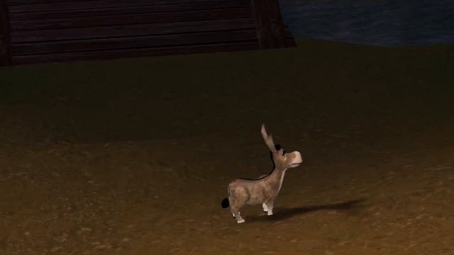 Баг в игре Шрек 2