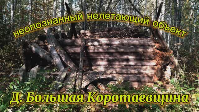 Деревня Большая Коротаевщина, неопознанный нелетающий объект.mp4