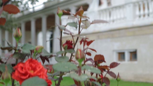 Полина и Андрей. В усадьбе Остафьево.