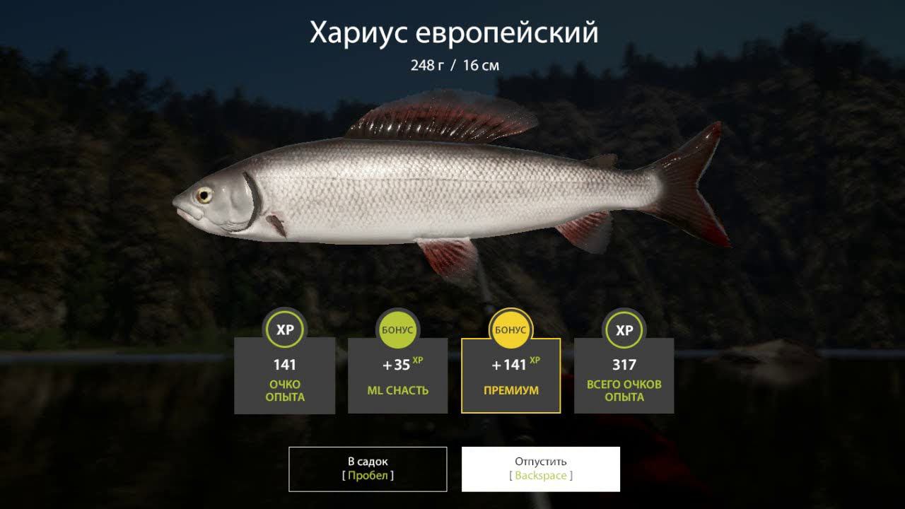 Русская рыбалка 4: р. Белая: Хариус.