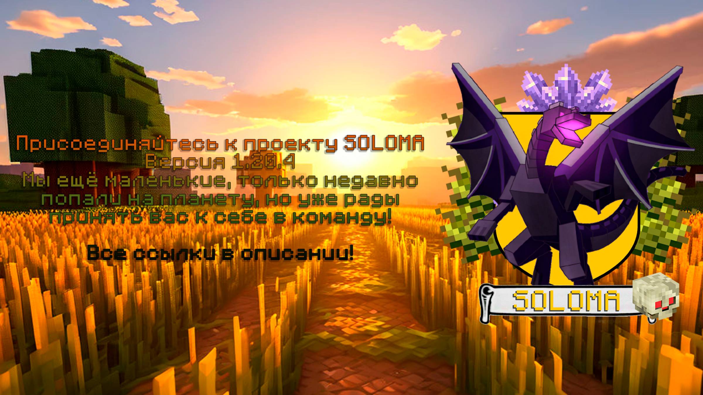 Сервер soloma. Мы начали свой путь.