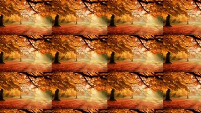 Y2mate.mx-Фон осень 1.