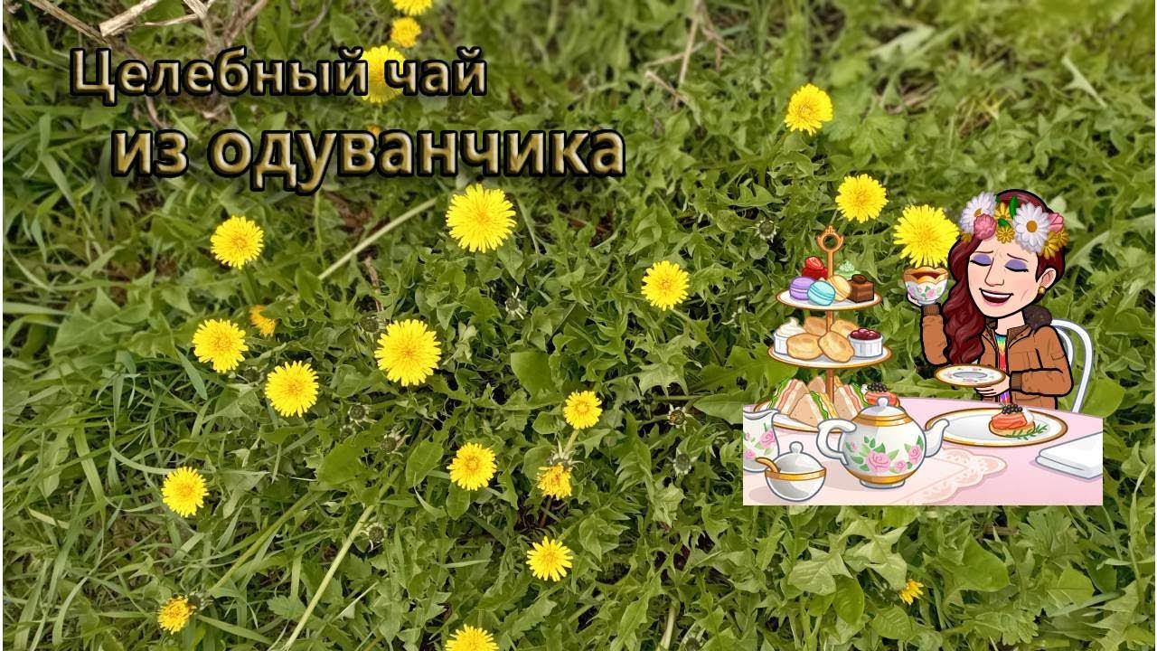 ЦЕЛЕБНЫЙ ЧАЙ ИЗ ОДУВАНЧИКА