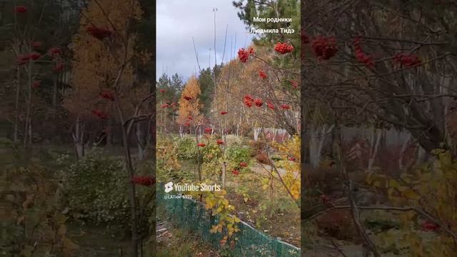 Дача родных ЕКАТЕРИНБУРГ сентября 2023 г.