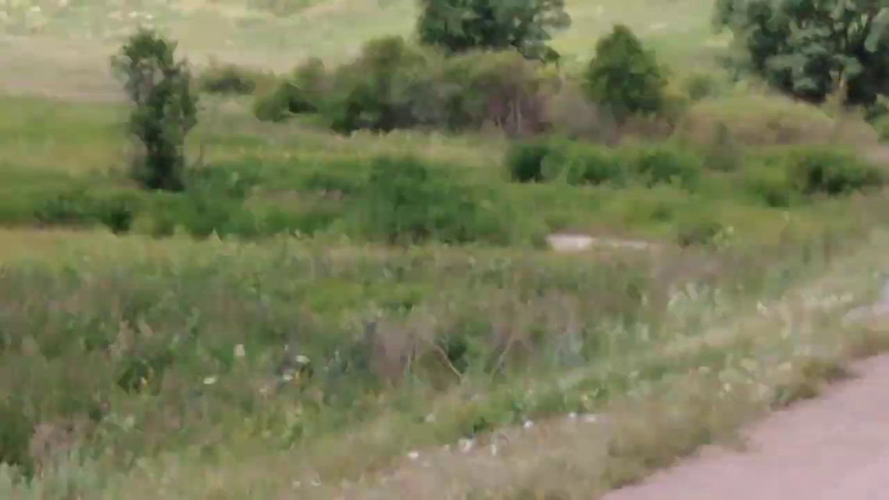 С источника