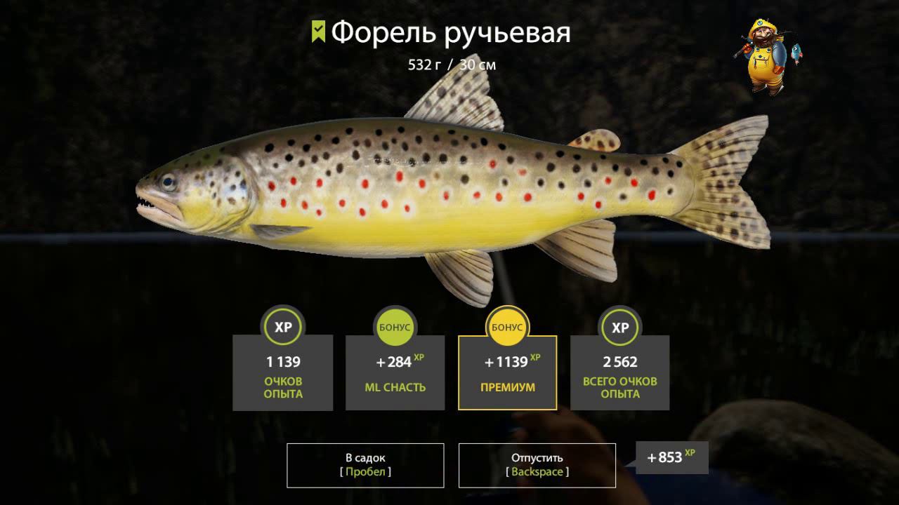 Русская рыбалка 4: р. Белая: Форель ручьевая.