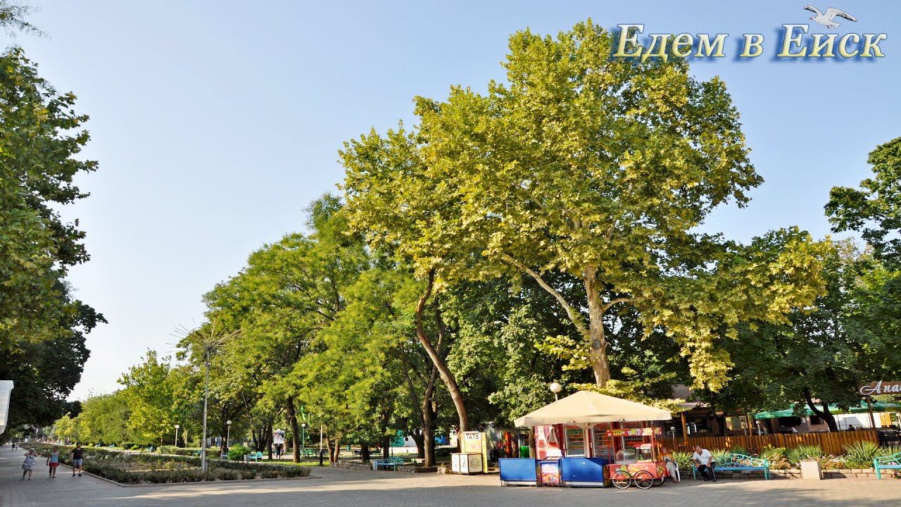 Отдых в Ейске: двухкомнатная квартира в районе парка Поддубного!