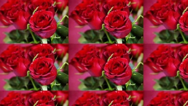 Y2mate.mx-Фон для поздравительных открыток