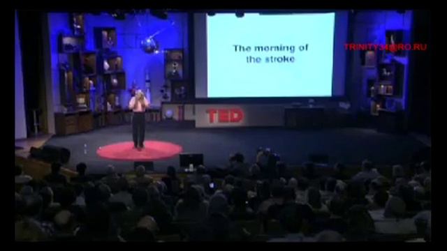 Отрывки из фильмов "Матрица" ч.1,  "Револьвер", "Мирный воин".