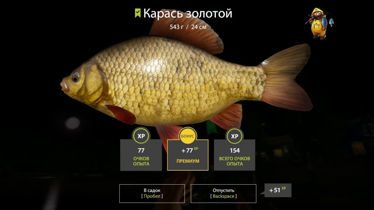 Русская рыбалка 4: оз. Комариное: Карась трофейный.