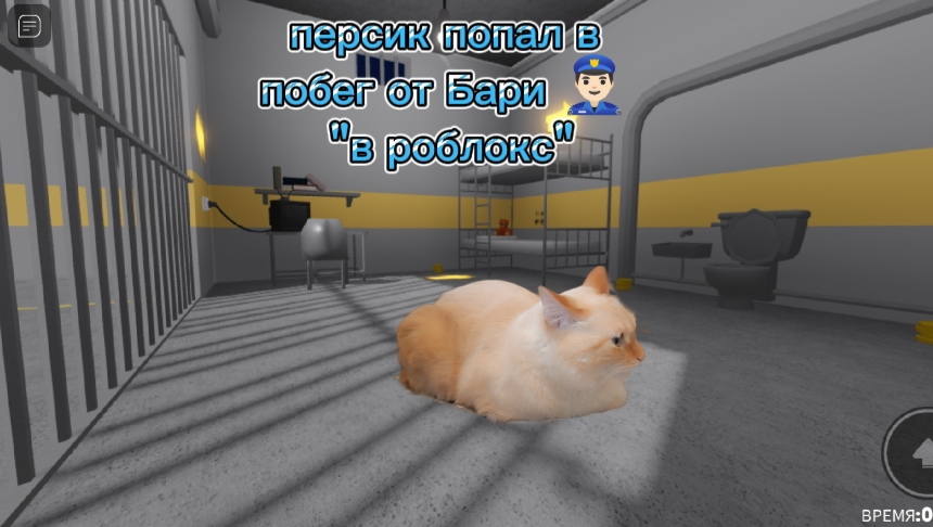 Персик попал в побег от Бари 👮🏻
 "в роблокс "
