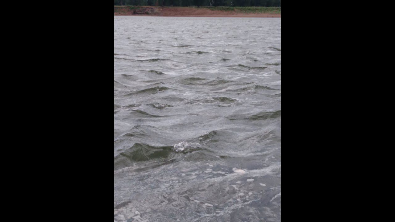 На Белой 26 07 20