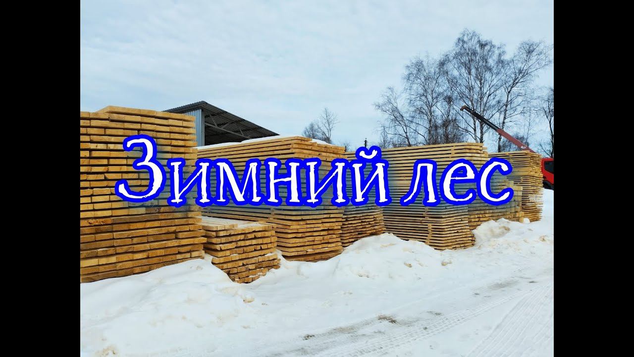 Выбираем правильный лес для строительства