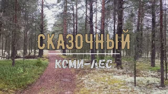 Сказочный Коми-лес