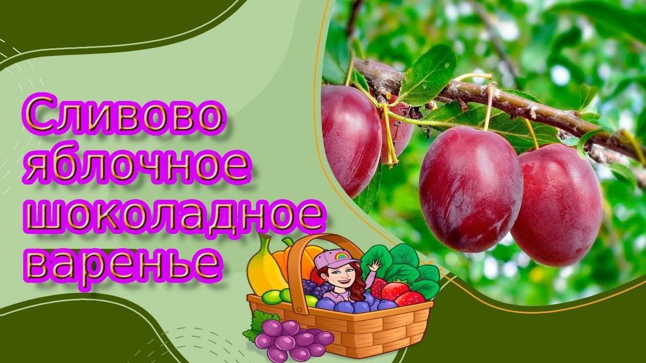 Сливово яблочное шоколадное варенье